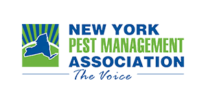 New York Pest Control Company | BHB Pest Elimination